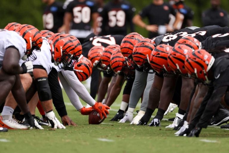 Why NFL Is the Most Popular Sport in America? - Sportszion