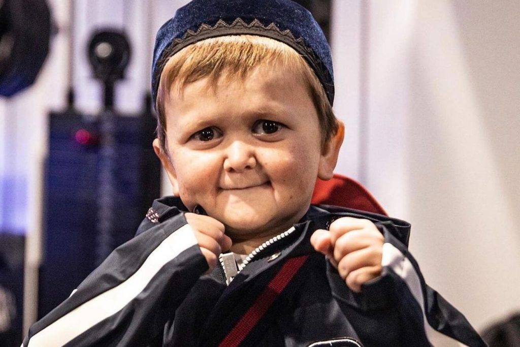 Fans outraged at UFC sensation Hasbullah for hurting his cat Barsik in ...