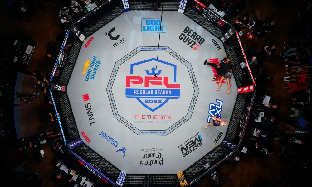 Watch: How MMA fan excitedly claps for referee's takedown defense ...